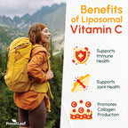 immune support vitamin c supplement