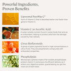 immune support vitamin c supplement