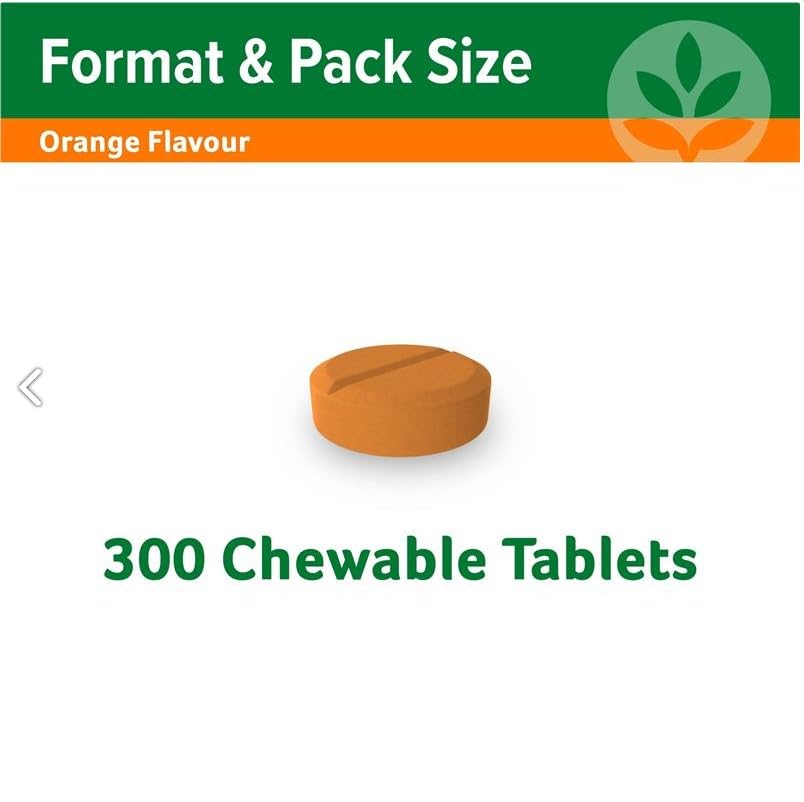 immune support vitamin C tablets