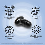 immune support vitamin supplement