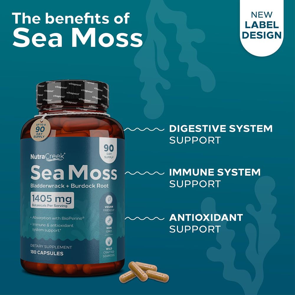 immune support vitamin supplements