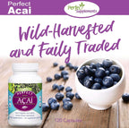 immune support with acai berries