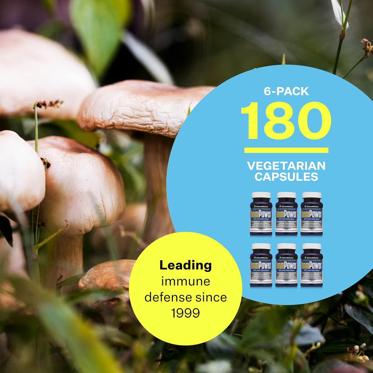 immune support with AHCC