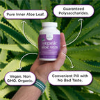 immune support with aloe vera