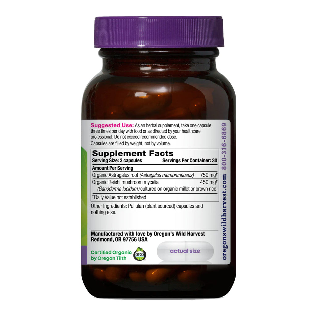 immune support with astragalus