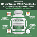 immune support with astragalus