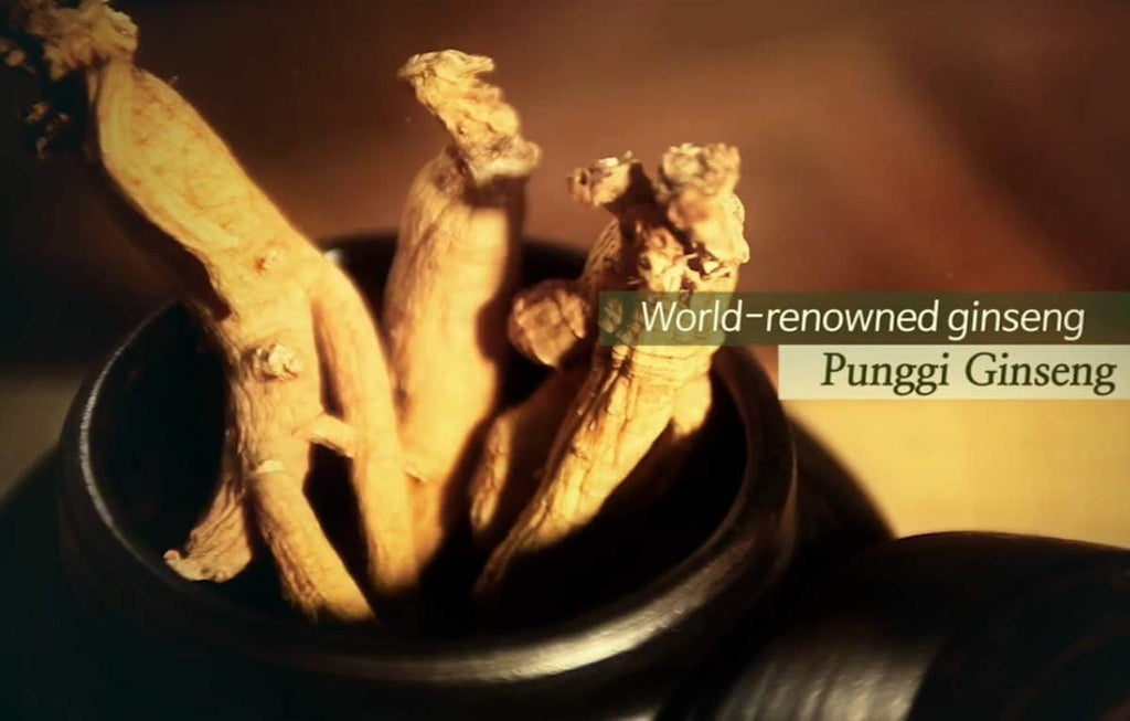 Immune support with Authentic ginseng
