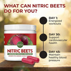 immune support with beet root