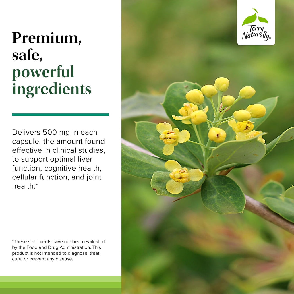 immune support with berberine capsules