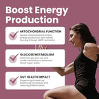 immune support with berberine extract