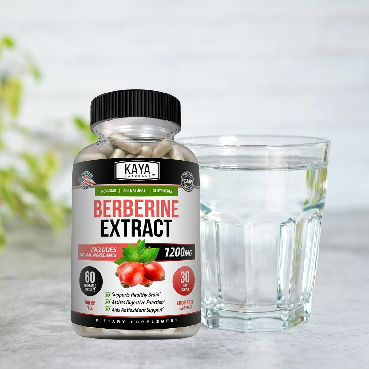immune support with berberine extract