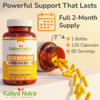 immune support with berberine