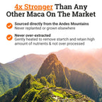 immune support with black maca