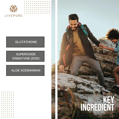 immune support with blended vitamins