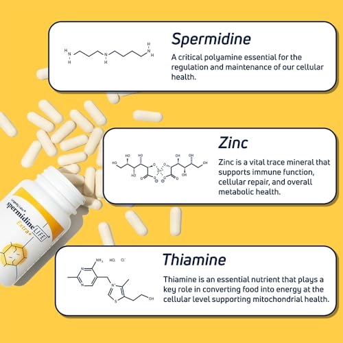 immune support with blended vitamins