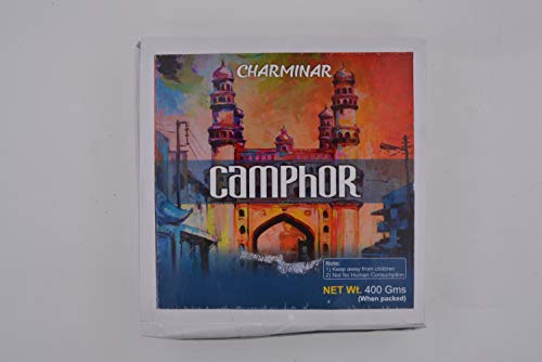immune support with camphor supplements