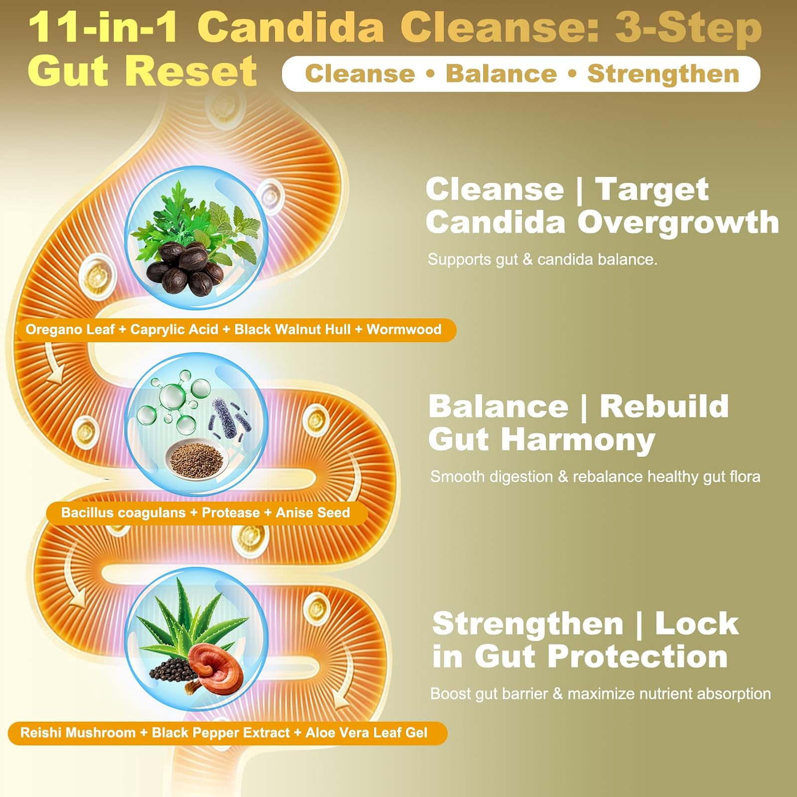 immune support with Candida drops