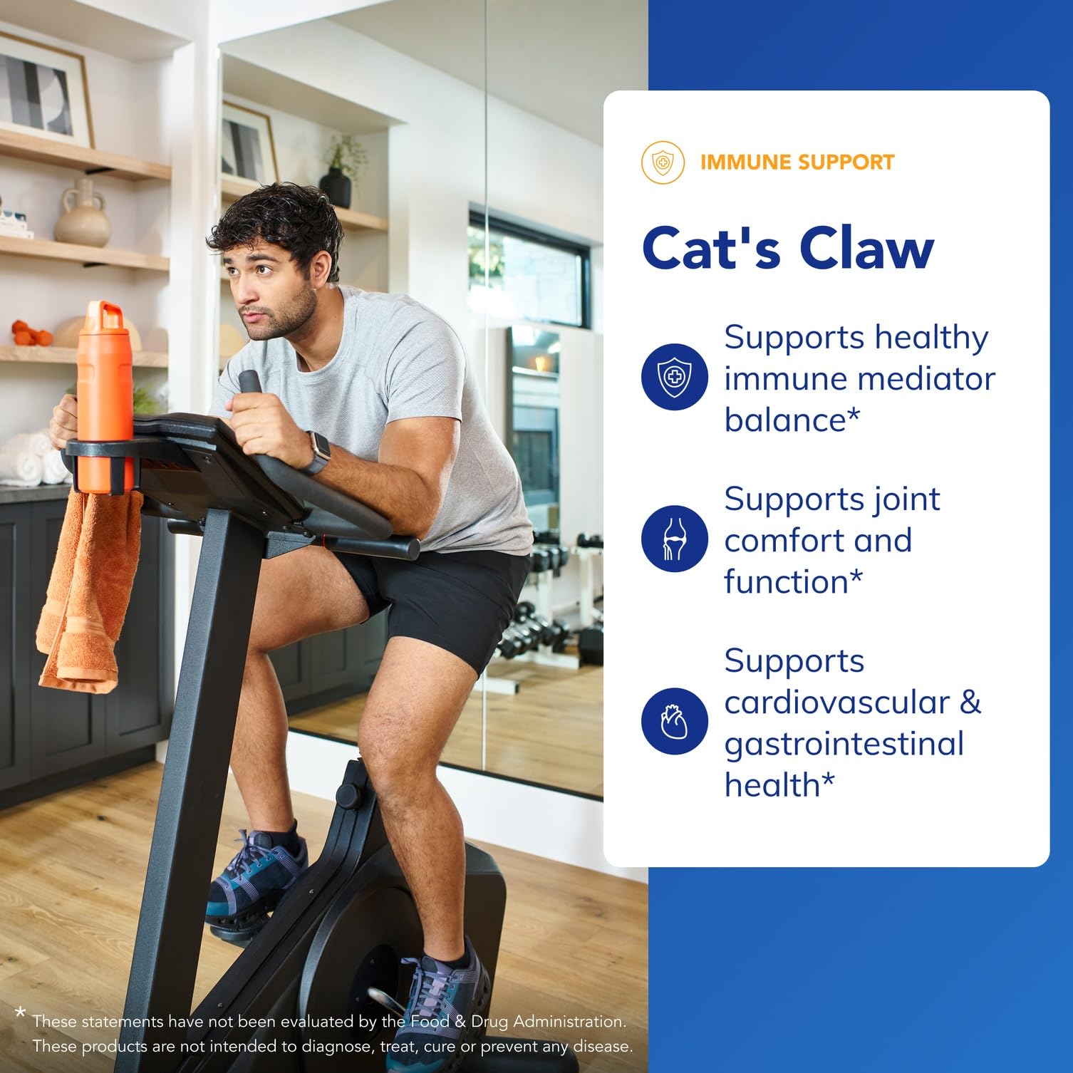 immune support with Cat's Claw extract