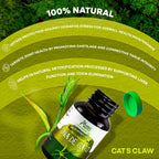 immune support with Cat's Claw extract
