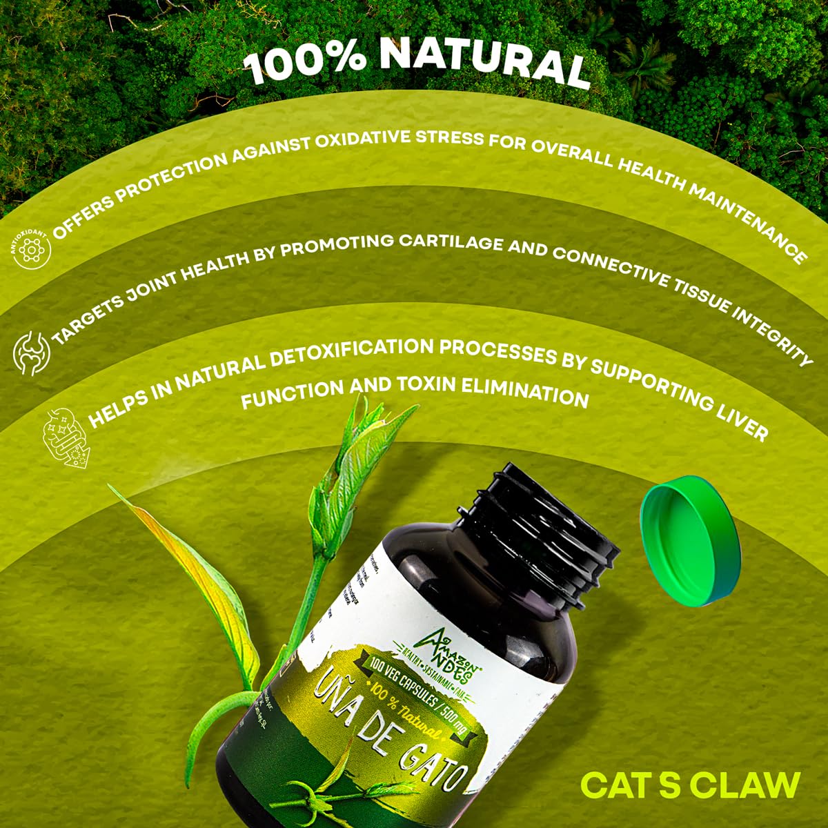 immune support with Cat's Claw extract