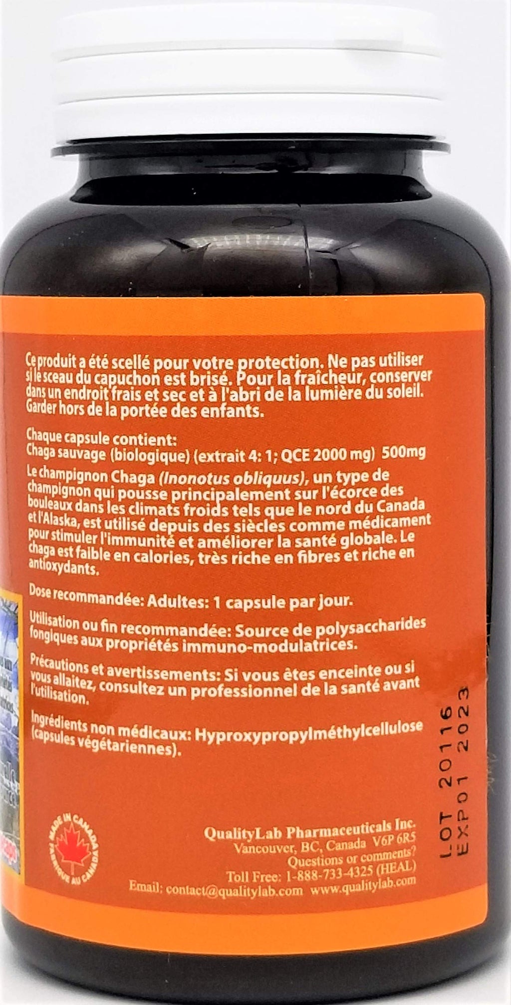 immune support with chaga capsules