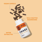 immune support with chaga extract