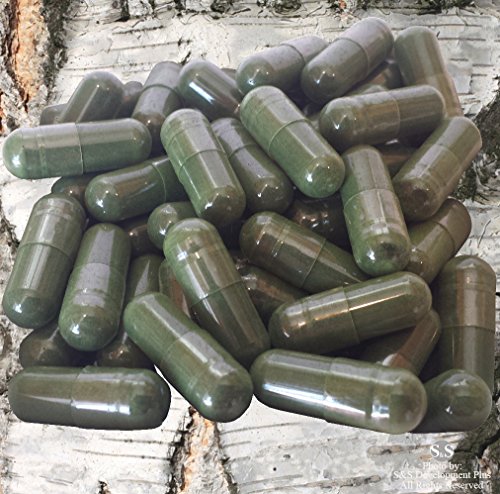 immune support with Chaga extract