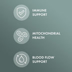 immune support with chaga extract