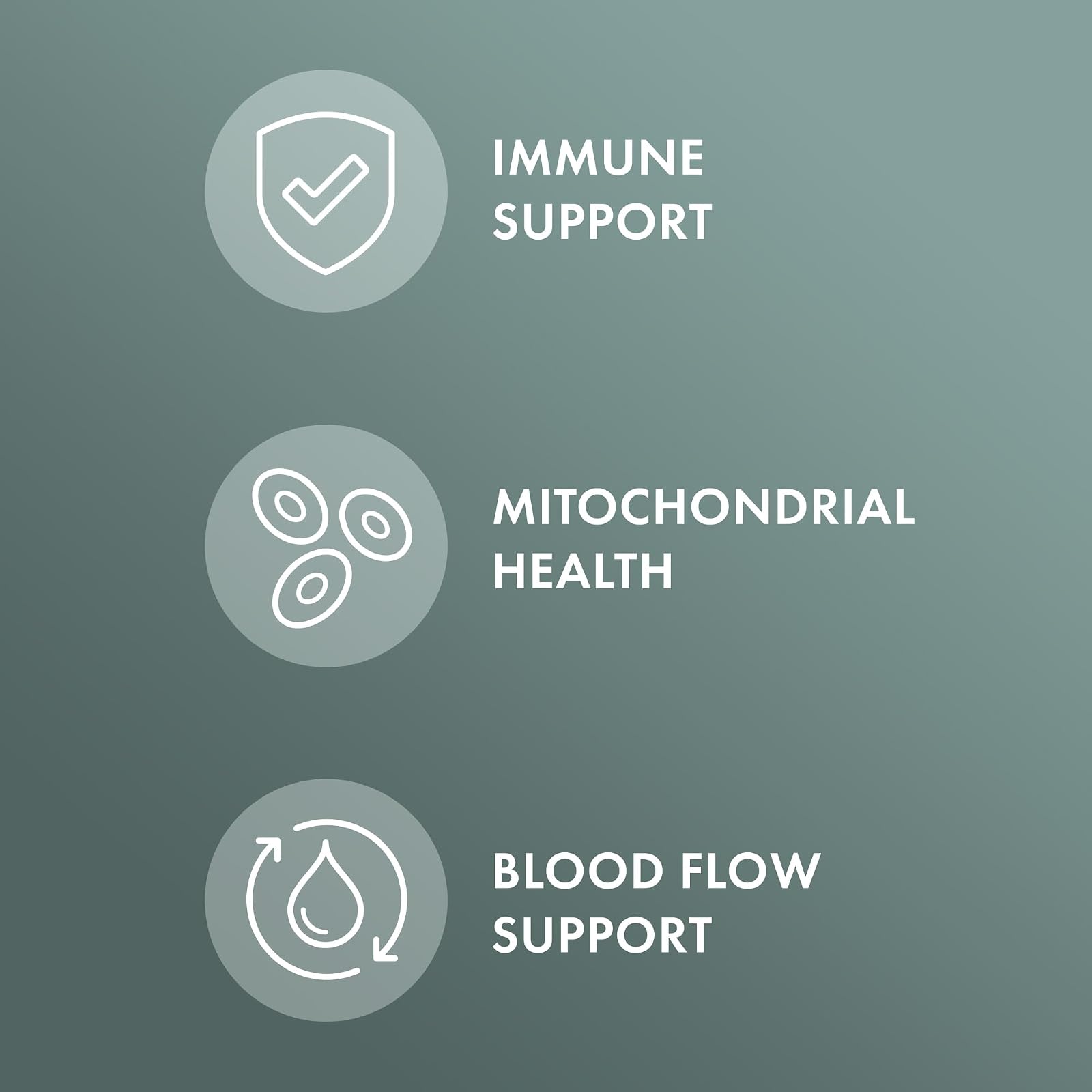 immune support with chaga extract