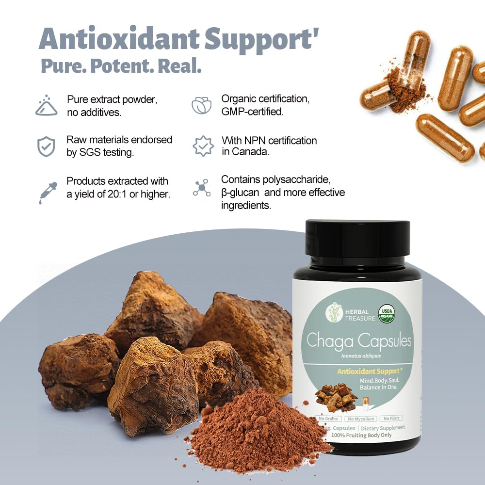 immune support with chaga mushrooms