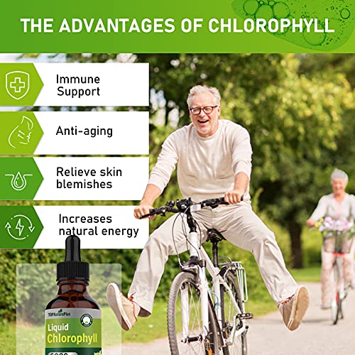 immune support with chlorophyll drops