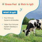 immune support with colostrum powder