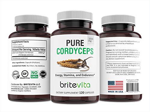 immune support with cordyceps capsules