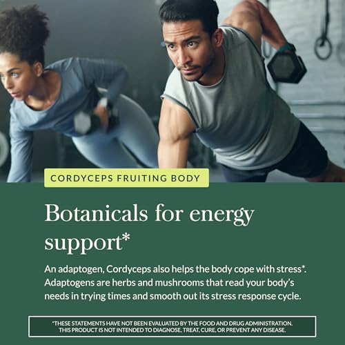 immune support with cordyceps mushrooms