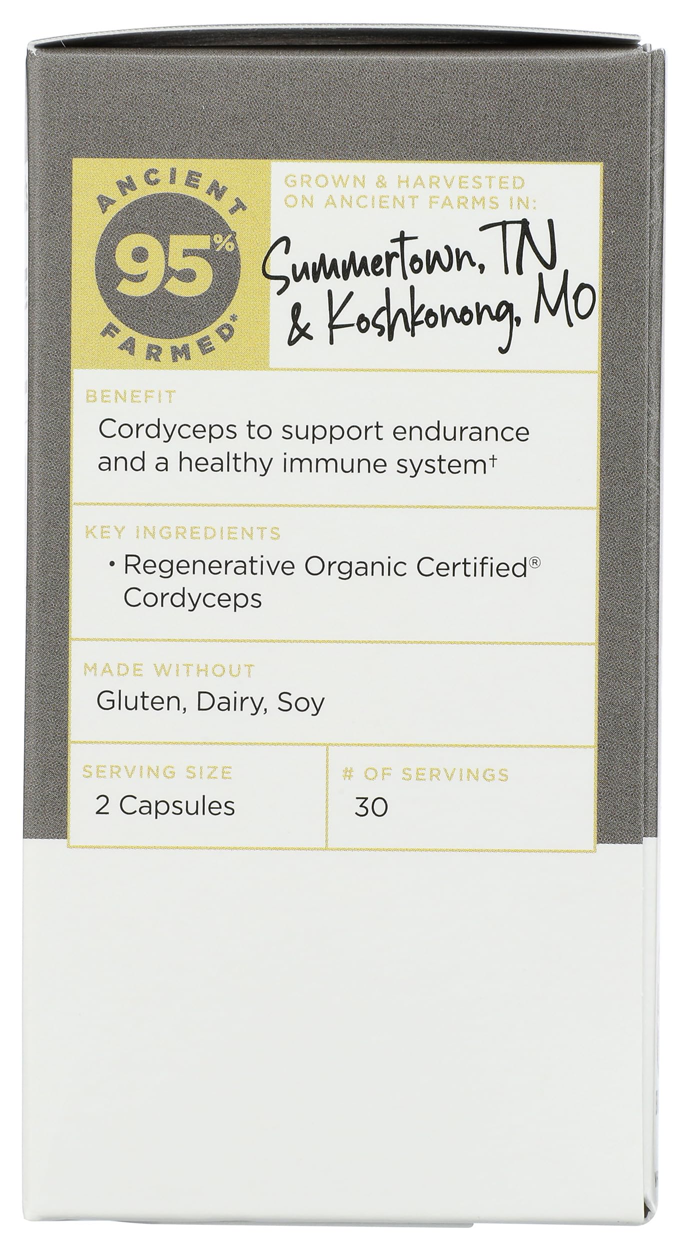 immune support with cordyceps mushrooms