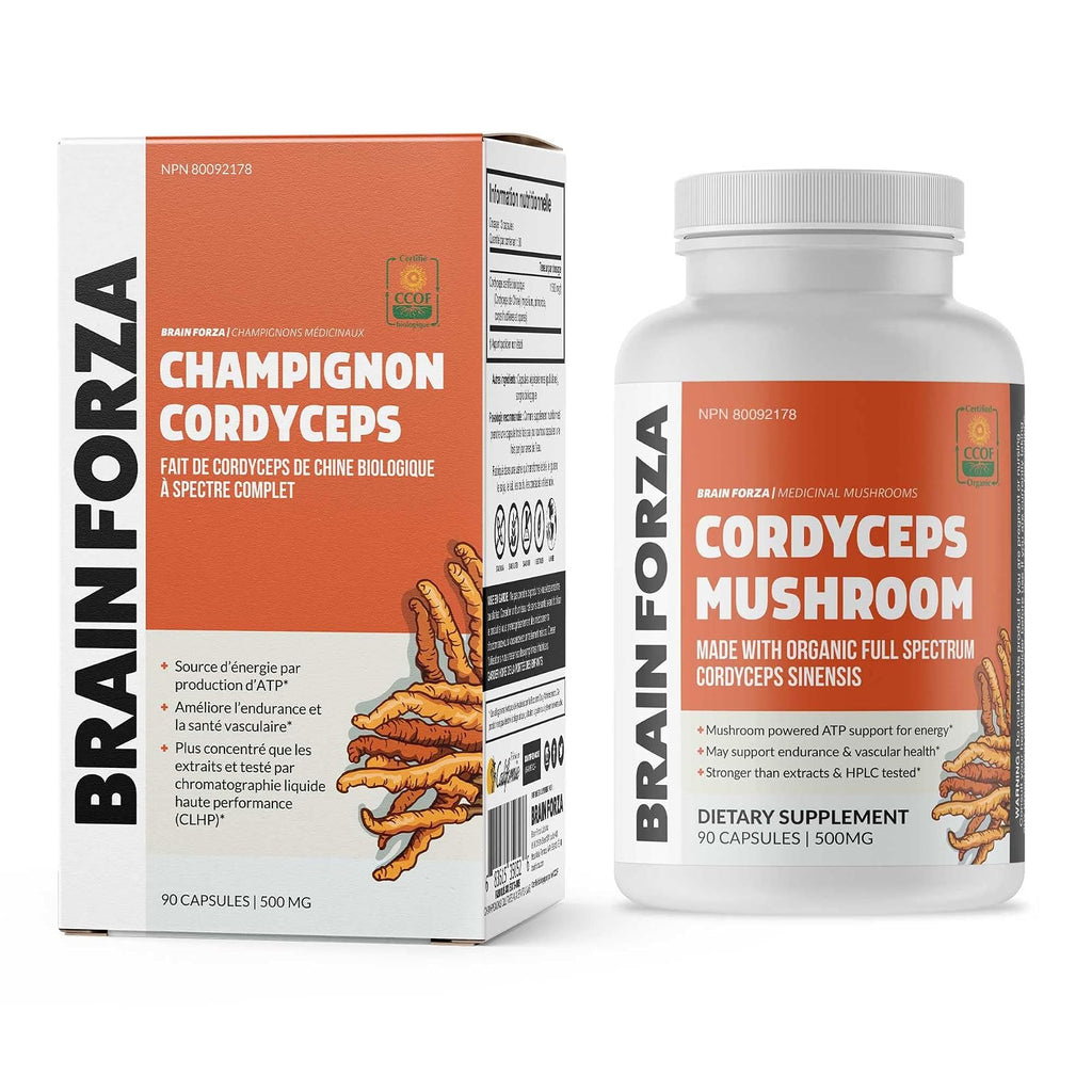 immune support with cordyceps sinensis