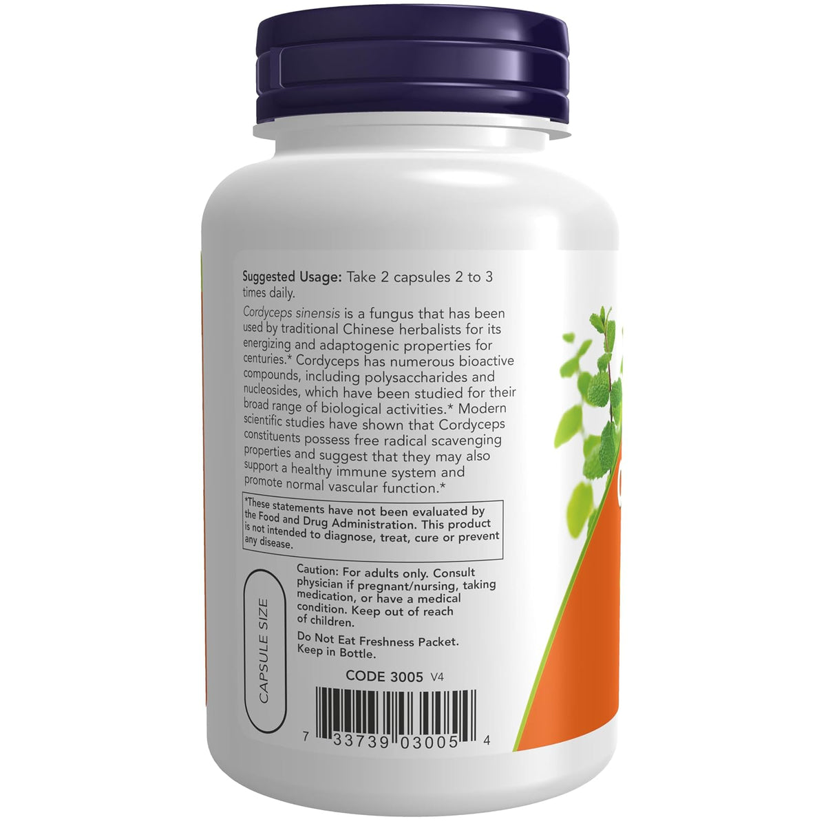 immune support with cordyceps