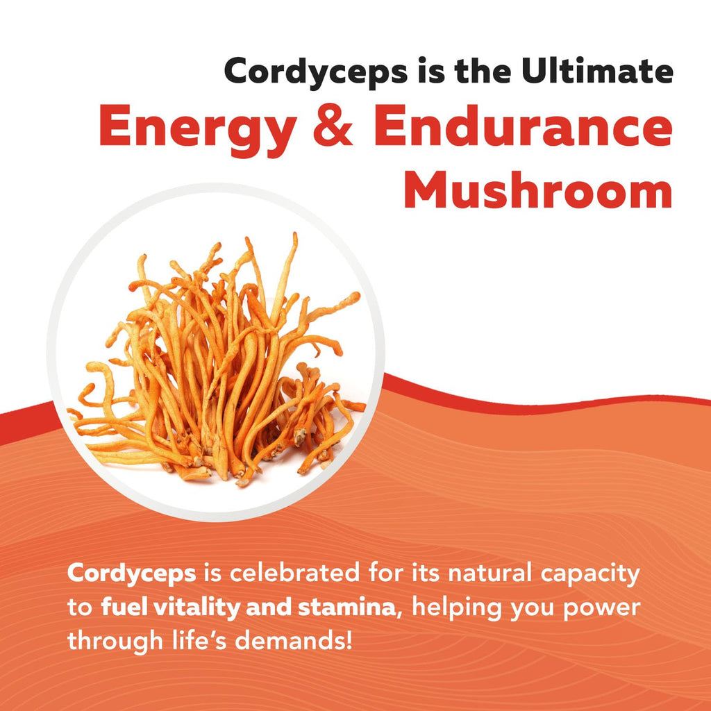 immune support with cordyceps