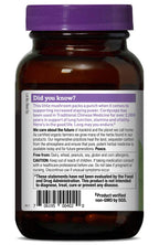 immune support with cordyceps