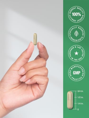 immune support with cordyceps