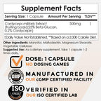 immune support with cordyceps