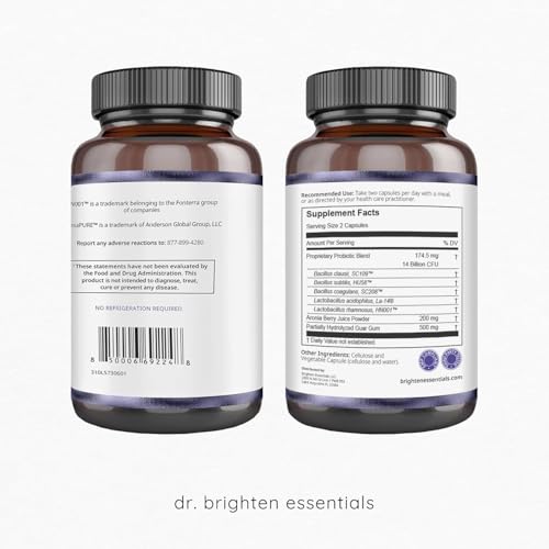 immune support with Dr. Brighten probiotics