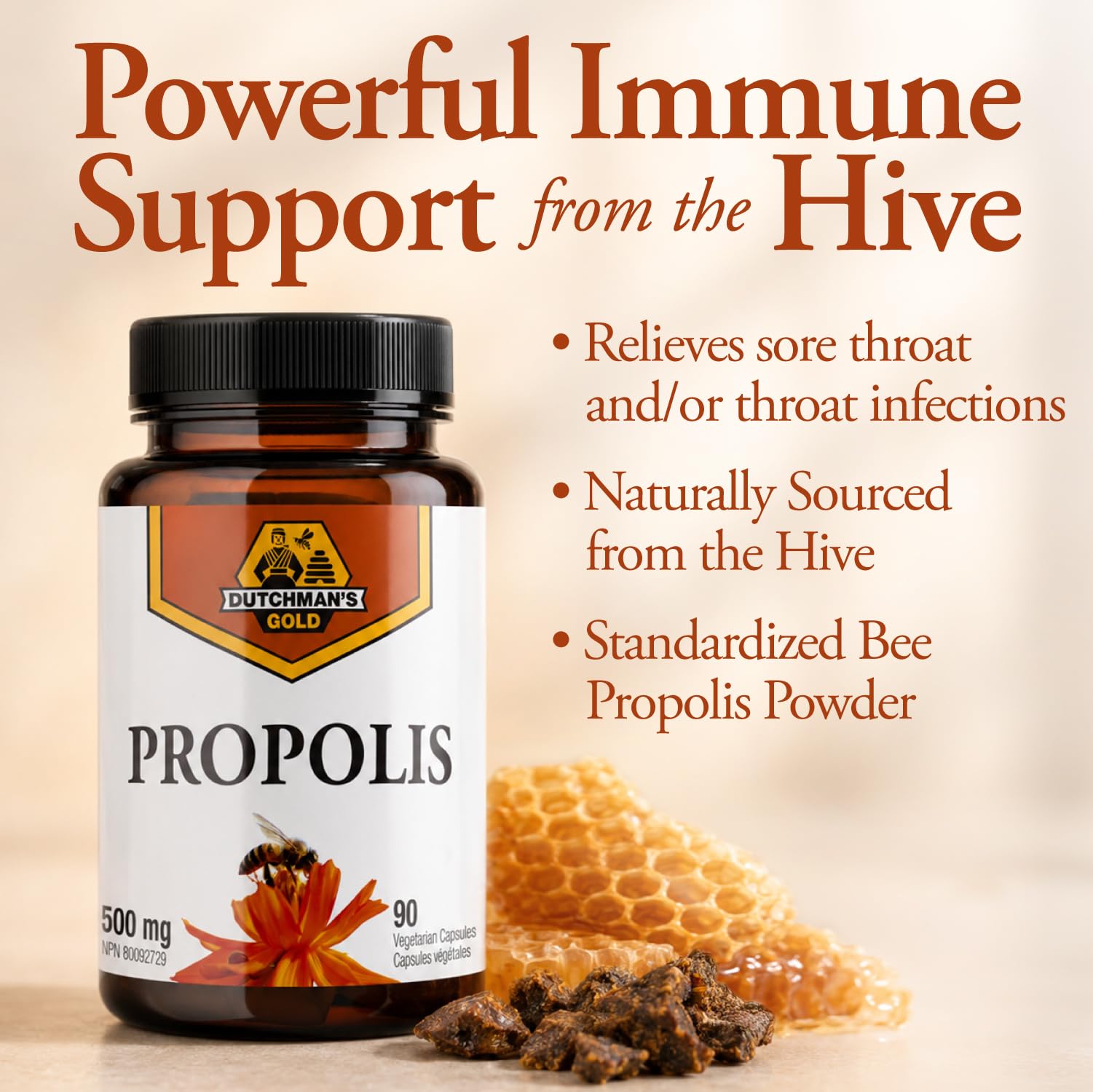 immune support with Dutchman's Gold