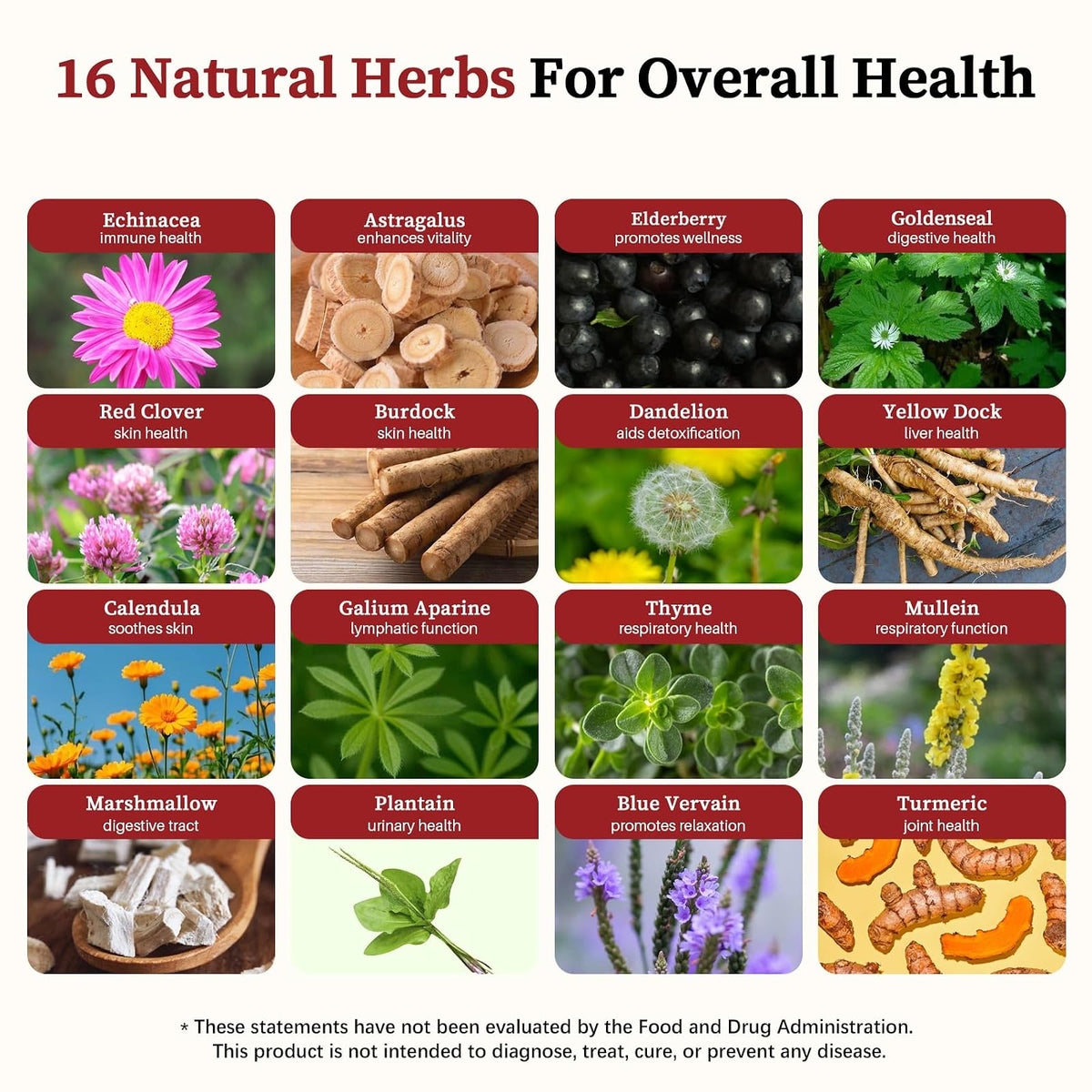 immune support with echinacea drops
