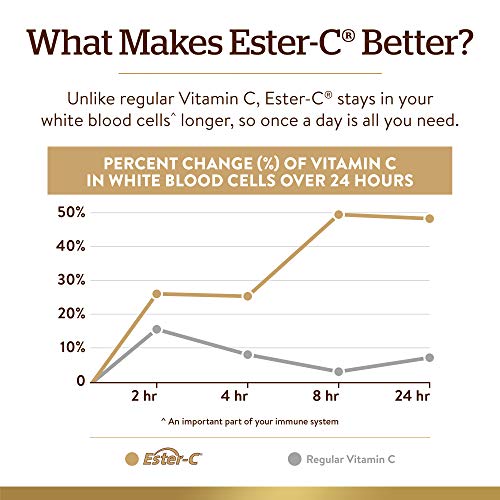 Immune support with elderberry extract