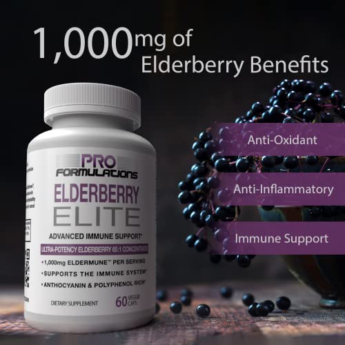 Immune support with elderberry extract