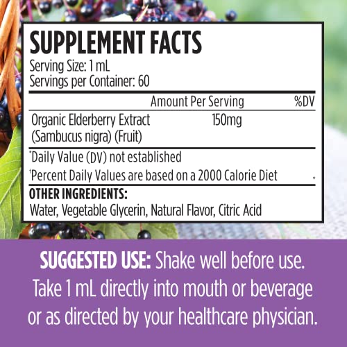 immune support with elderberry extract