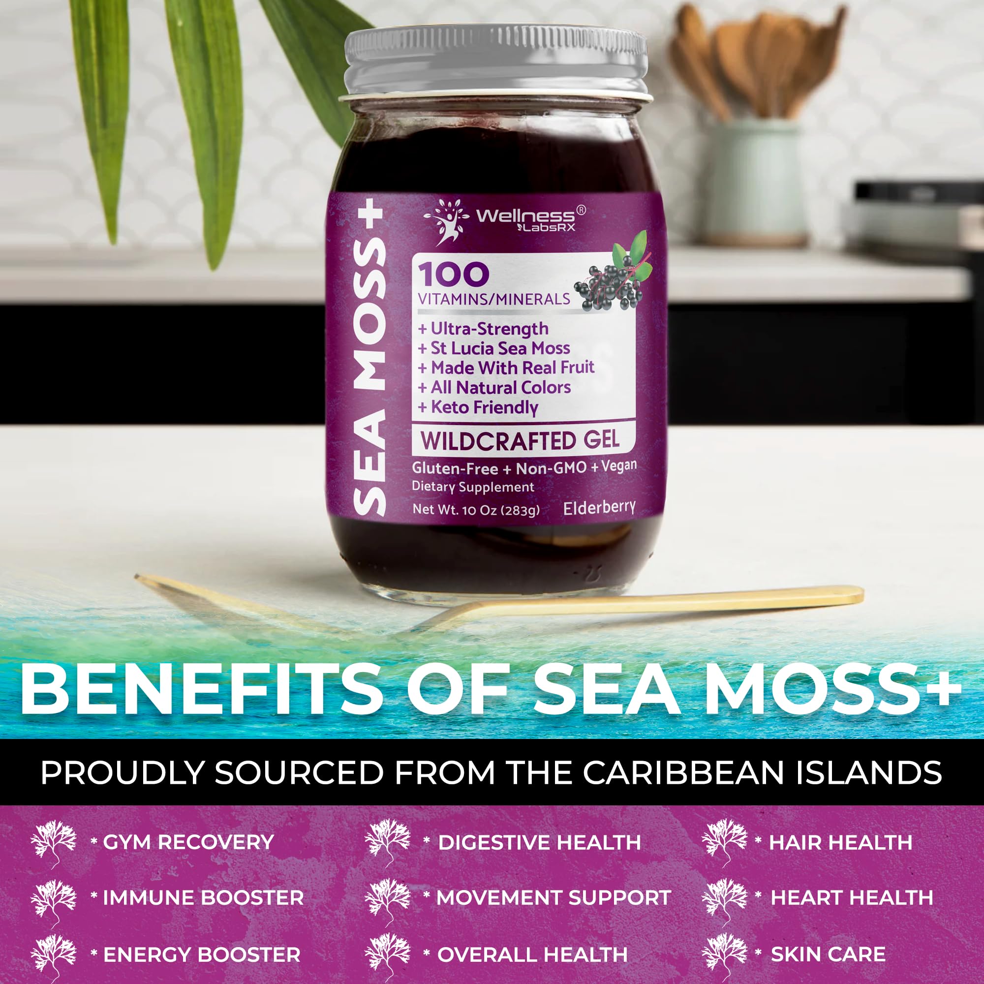 Immune support with elderberry gel