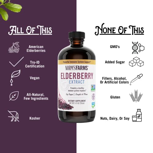 immune support with elderberry syrup