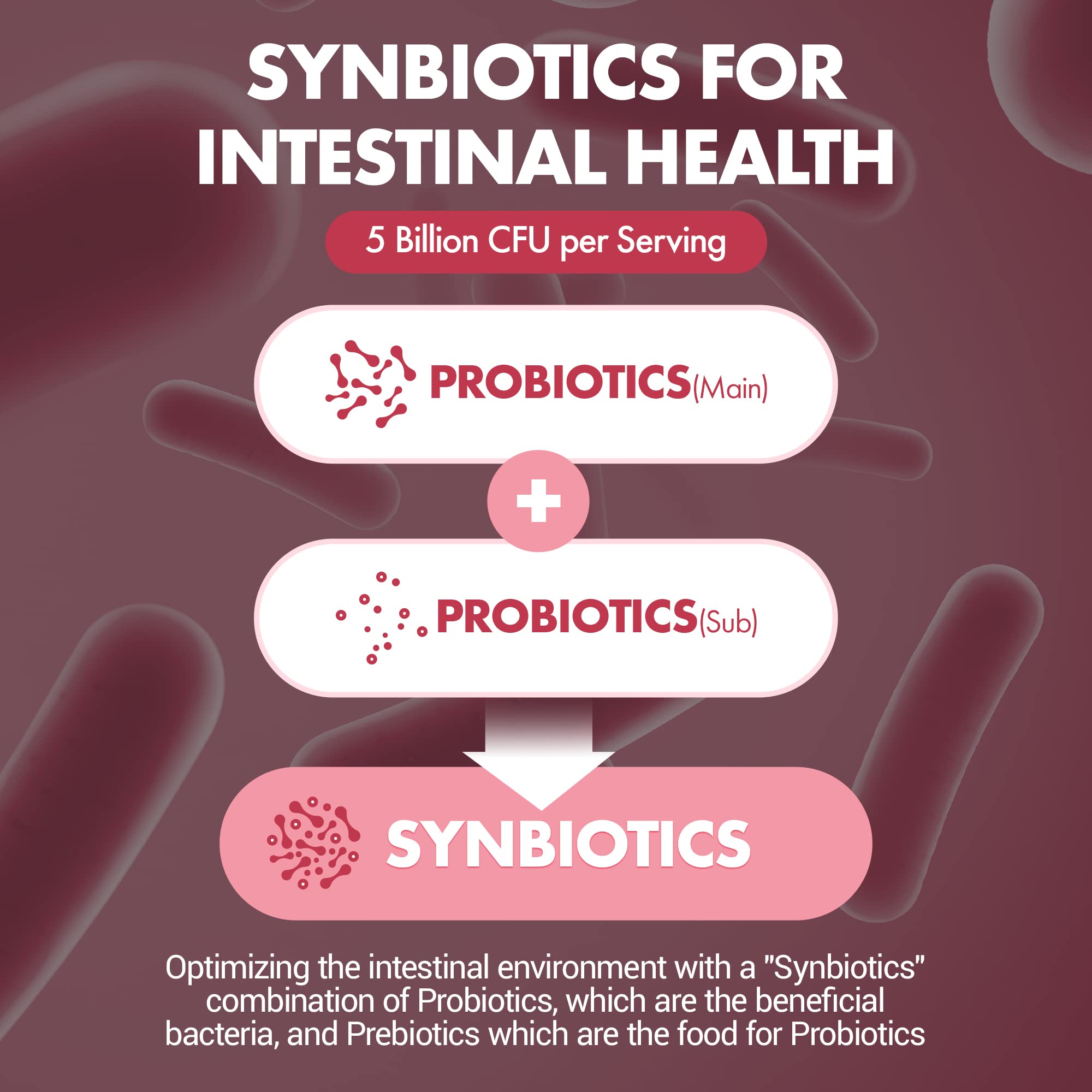 immune support with Everfit probiotics